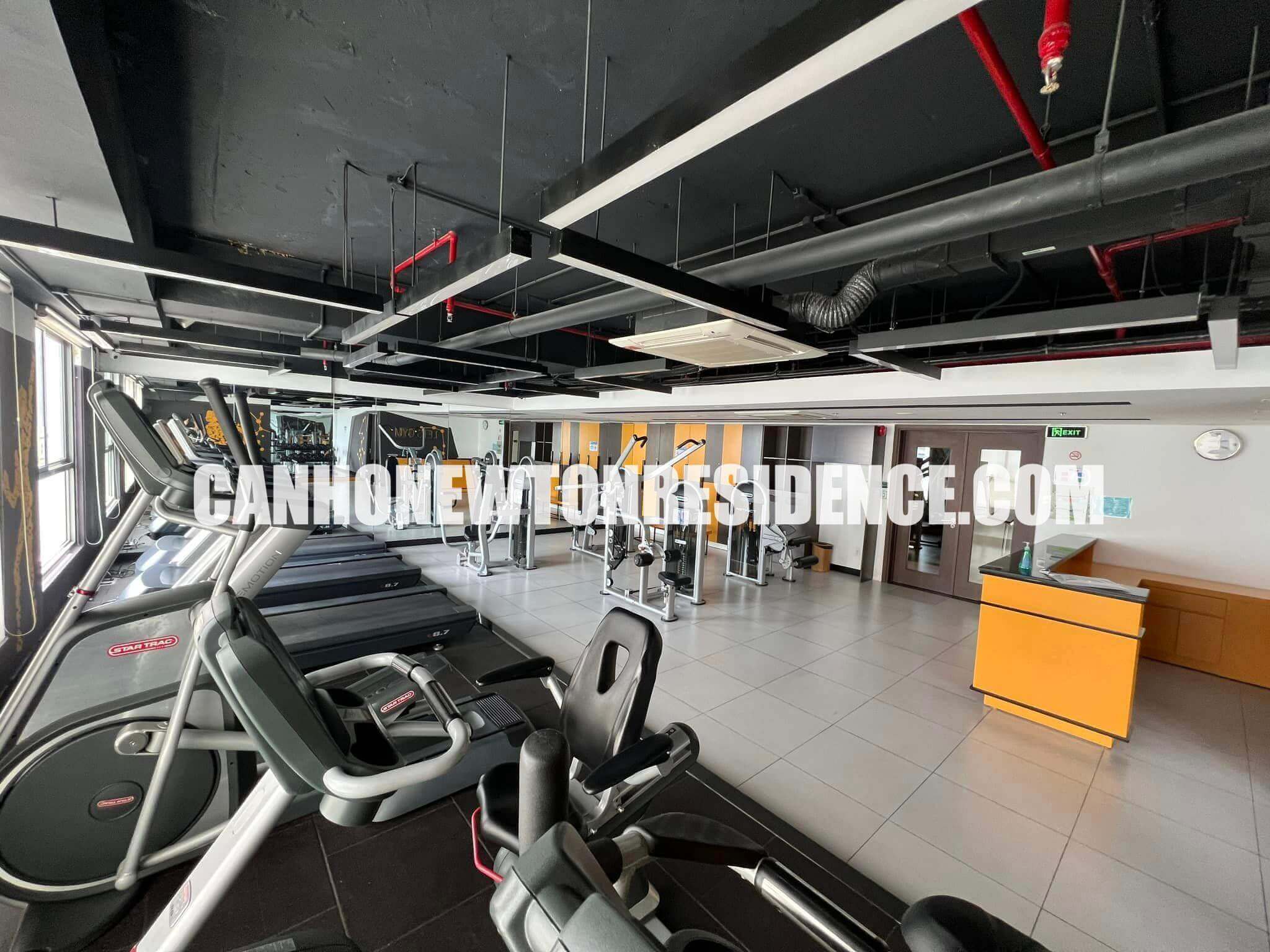 Cho thuê căn hộ Newton Residence giá tốt nhất 2025