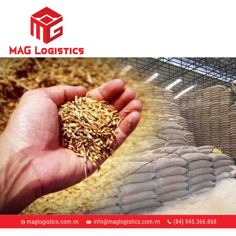 Xuất khẩu gạo bền vững trong giai đoạn hiện nay